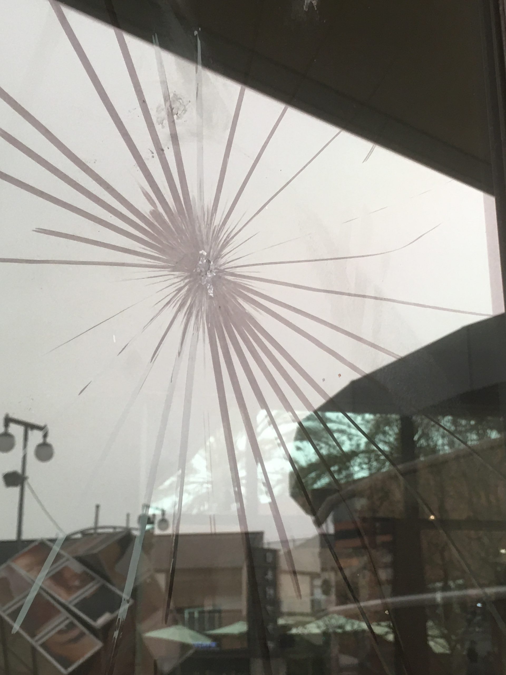 JANM Windows Smashed by Vandal – Pacific Citizen