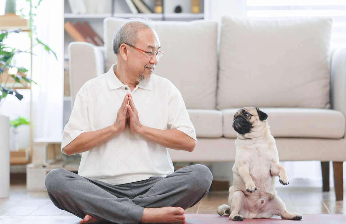 Legal-Ease: An Attorney’s Perspective: The Health Benefits of Pets ...